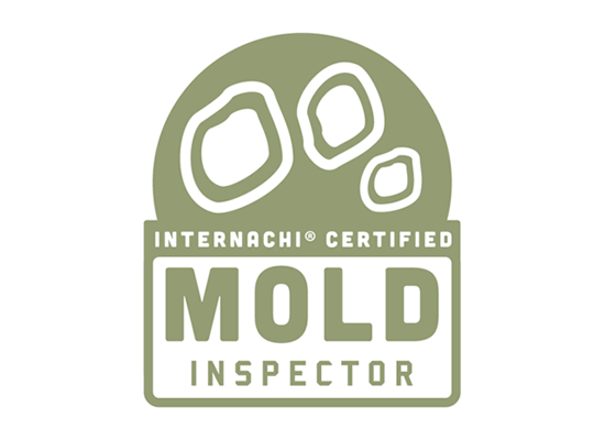Mold Inspections Mold Inspector Mold Testing Bergen County NJ